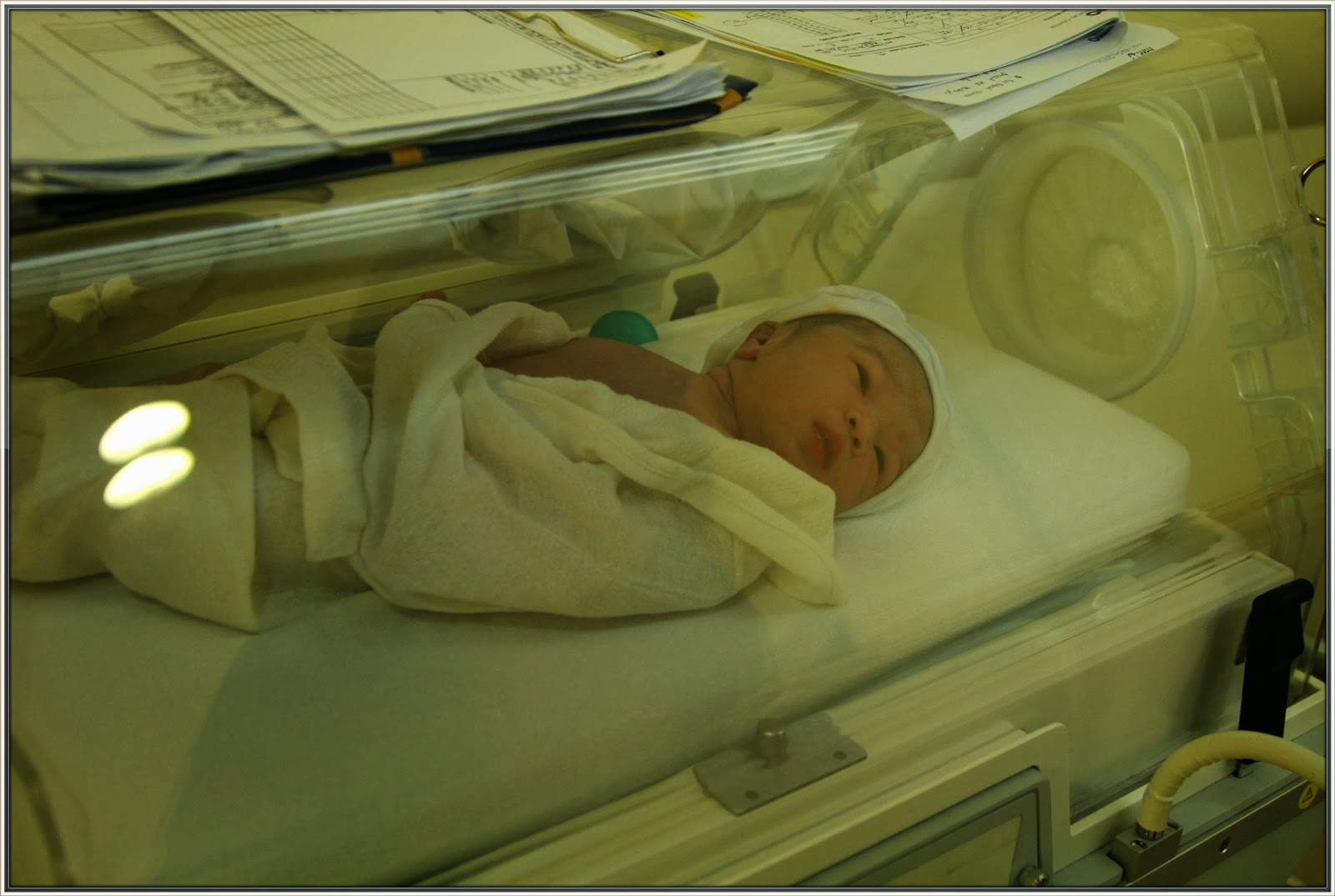 February 2014 | My Little World by Mommy Rackell