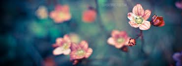 FB Covers: Beautiful fb covers