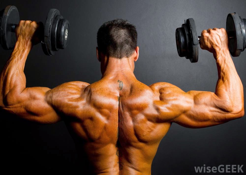 The Anabolic Power of Leucine. By Veeraj Goyaram ~ BODYBUILDING ...