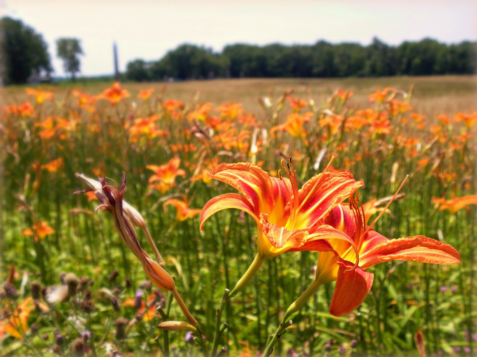 THEIR STORIES: Gettysburg 150th Part 1 - Colonel Daniel Christie and ...