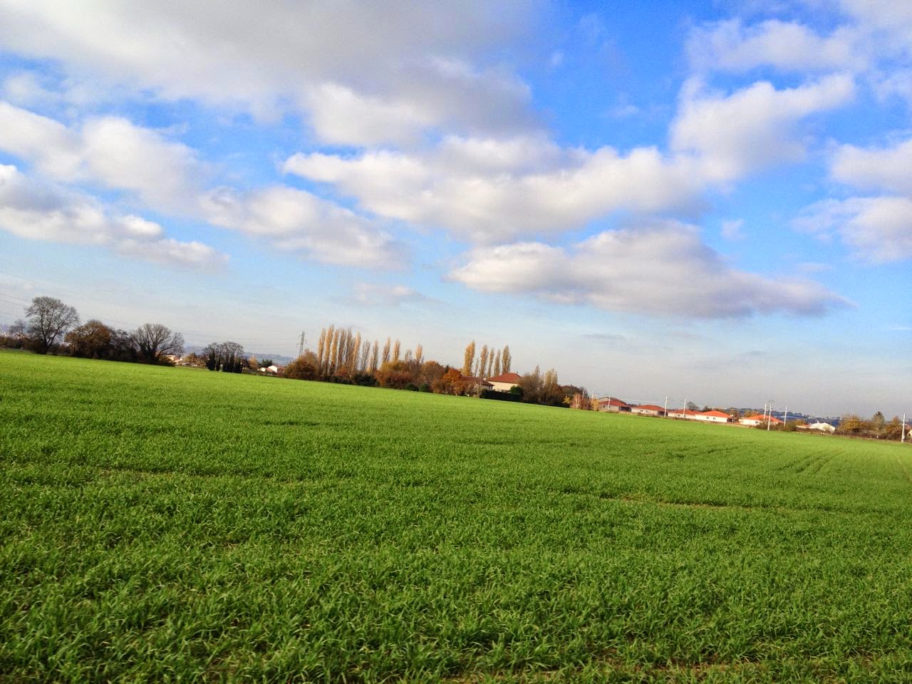 Que la plaine est belle