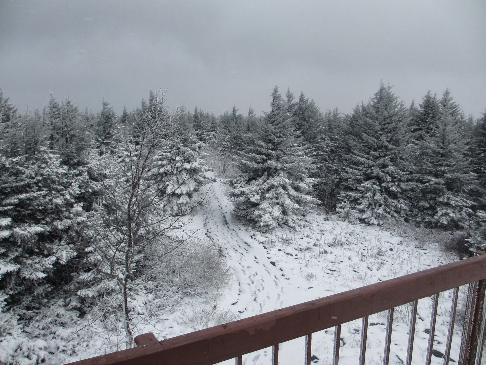 Cannundrums: Spruce Knob - High Point of West Virginia