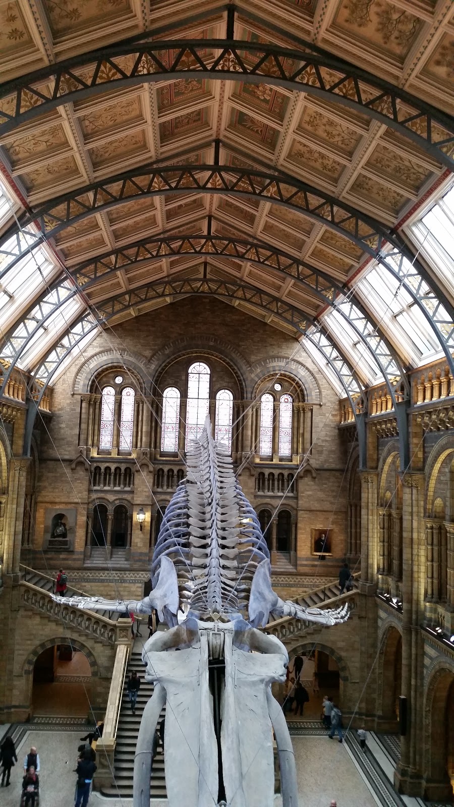 My Danish Scouting Adventure