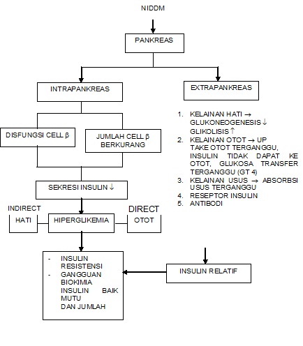 oddie hanafi: Diabetes Mellitus tipe II