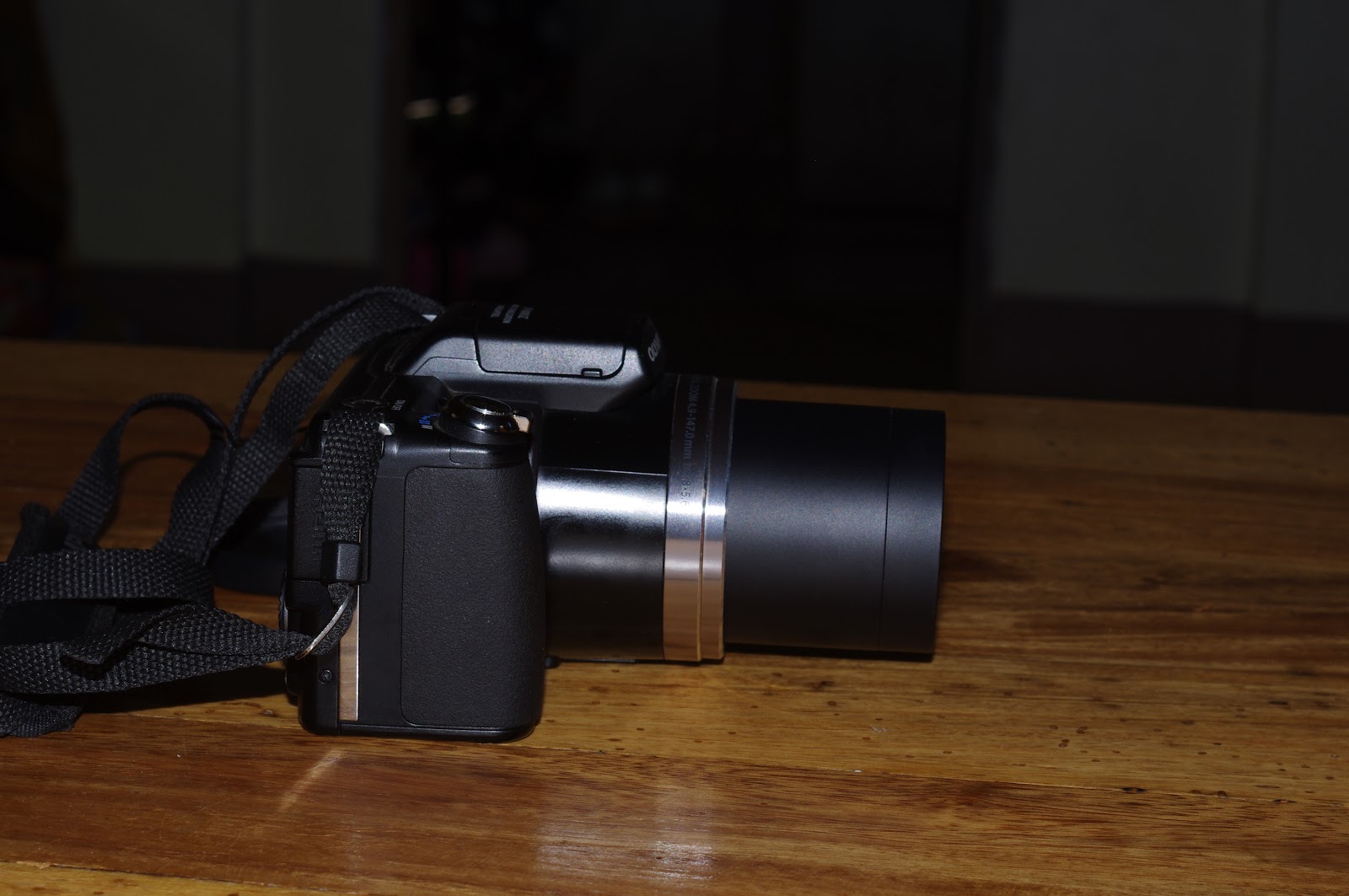 noel autor: Bridge Cameras, the alternative to DSLRs