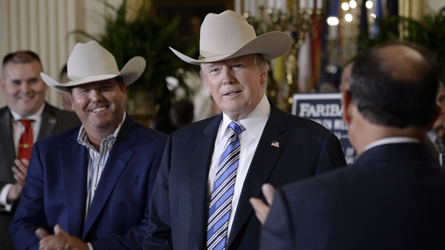 Twilight Language: Trump: The Latest Cowboy Beaver President