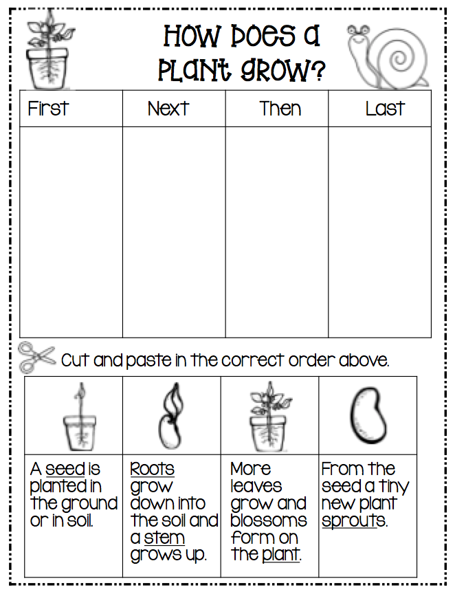 1st Grade Hip Hip Hooray!: How Does Your Garden Grow Freebie!!