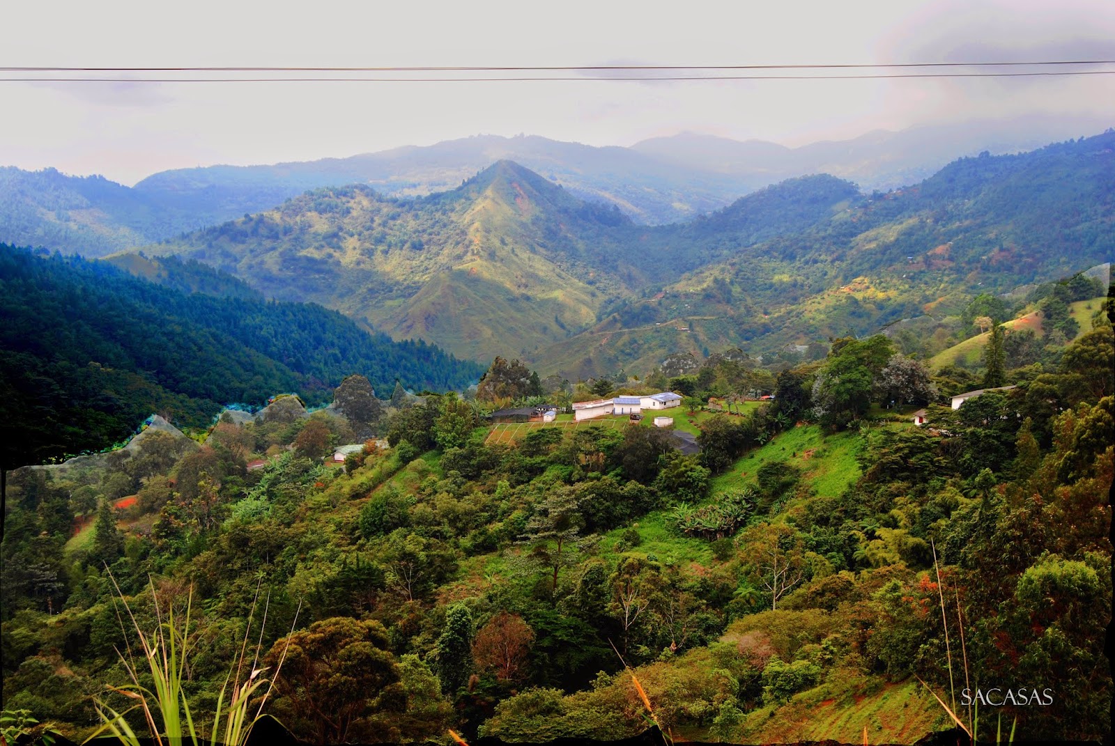 El grabado de la Luz.: Felidia y Pichindé, y una historia a propósito ...