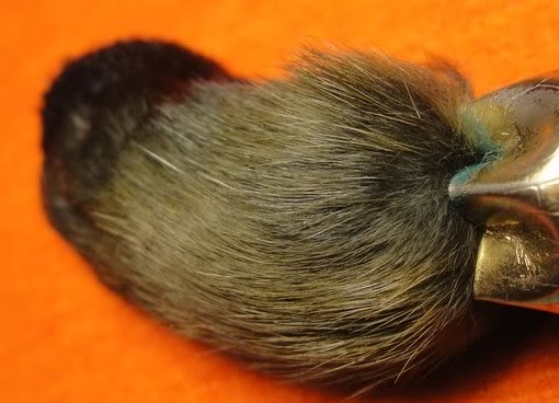 Little Web Treasures: A Lucky Rabbit's Foot?