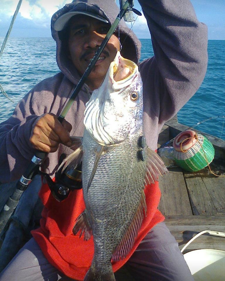 Fishing Tour Jepara : Ikan Kakap Putih Spot Kapal Tongkang