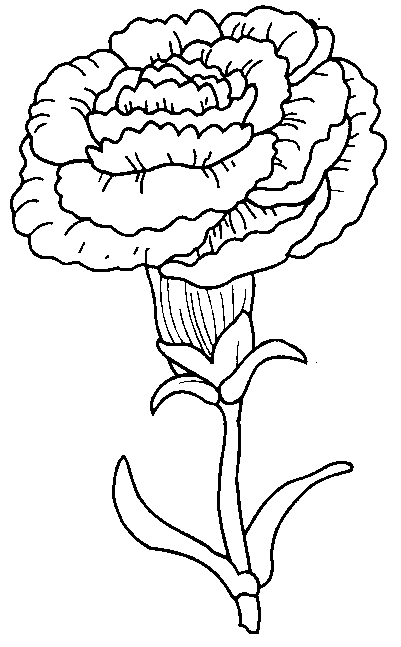 Koleksi Terpopuler 25+ Gambar Bunga Outline