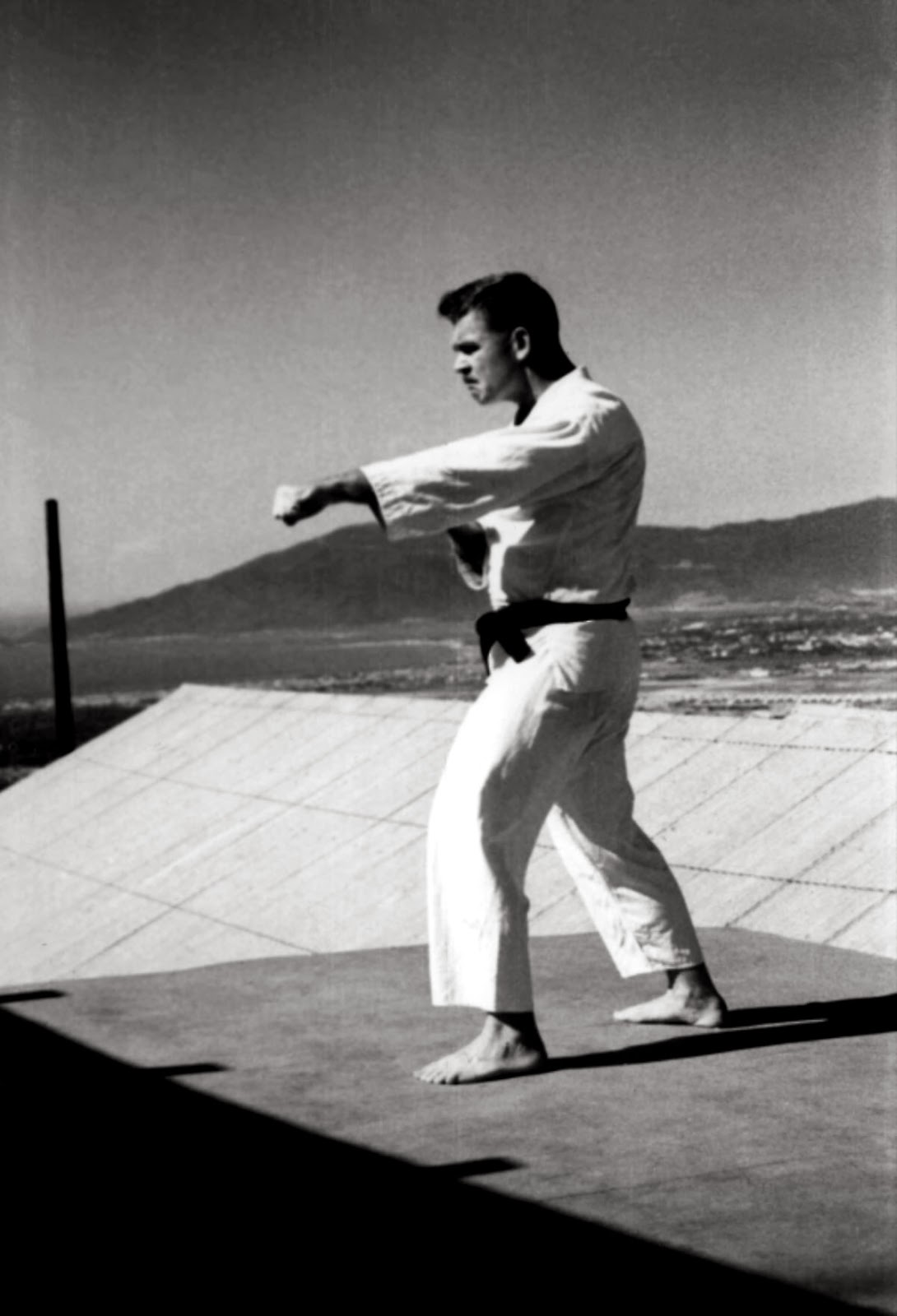 Arizona Karate - Journal of a Grandmaster (Soke): KARATE STUDENTS ...