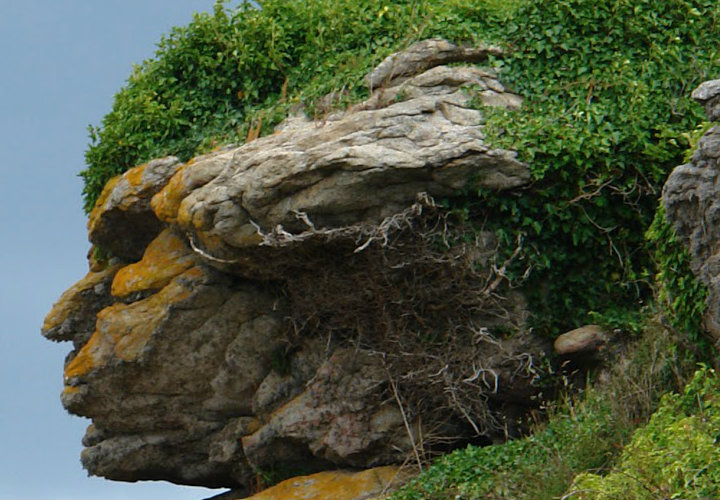 ¿Sabes lo que es una ilusión?