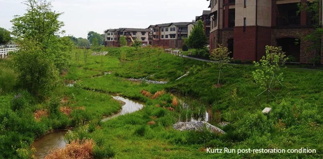 PA Environment Digest Blog: Spotlight: How Floodplain Restoration Can ...