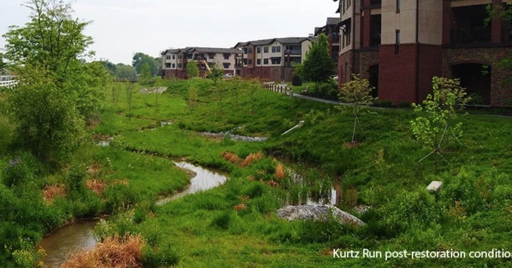 PA Environment Digest Blog: Spotlight: How Floodplain Restoration Can ...