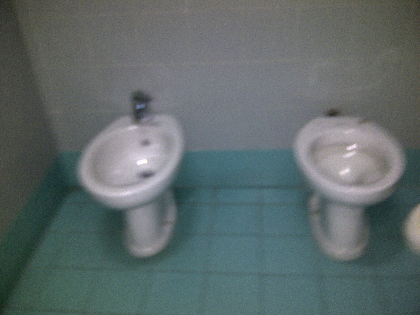 The Great Italian Adventure: 101 Things to do with a bidet