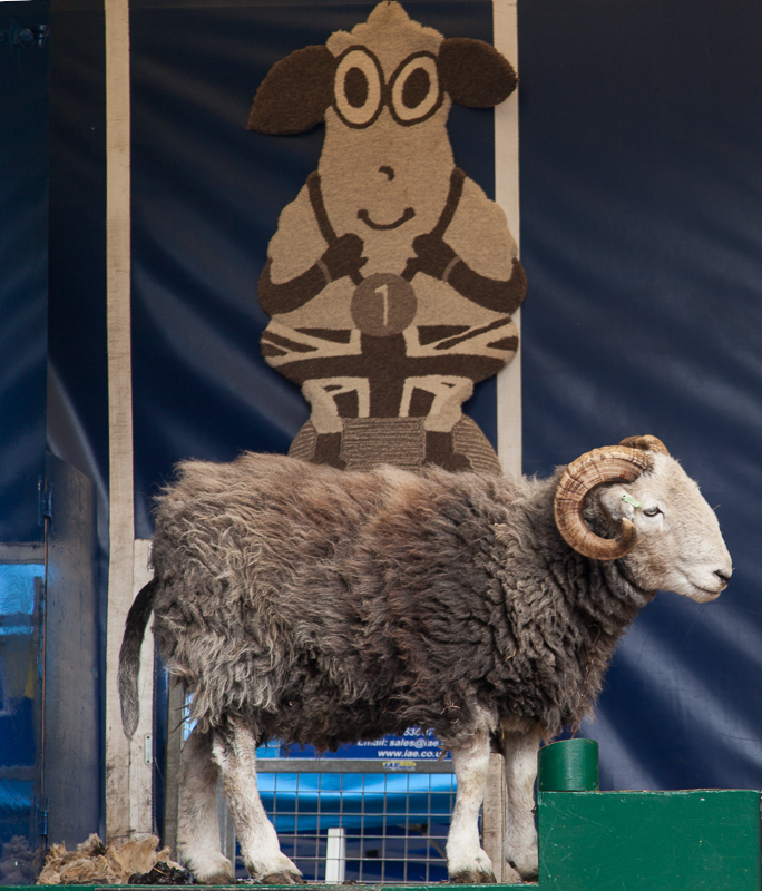 Fresh eyes on London: Sheep Dancing