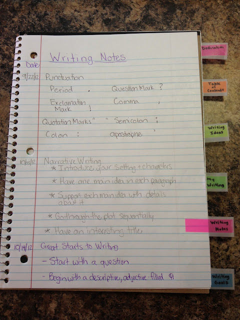 Apples of Your Eye! ~*~: Writer's Notebook Organization!