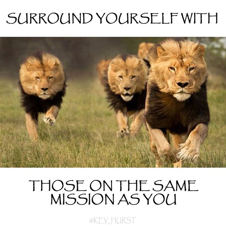 Brian Mckoy's Motivation and Inspiration Station: SURROUND YOURSELF ...