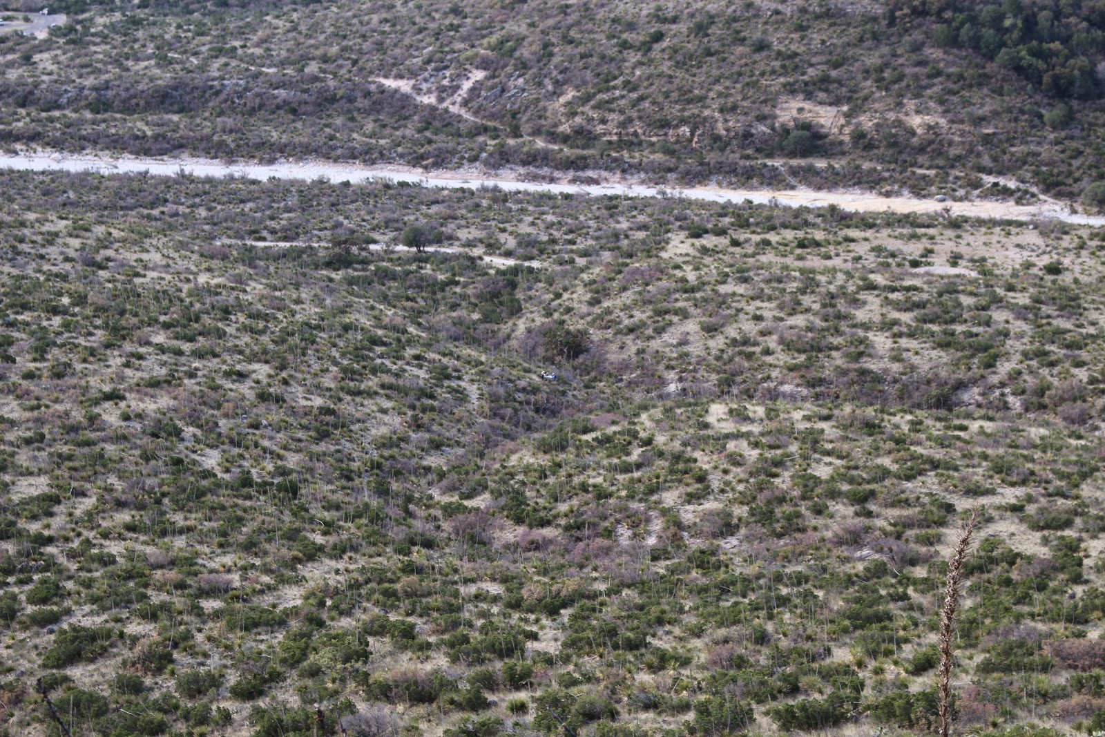 Finding Fossils...: The Permian Capitan Reef