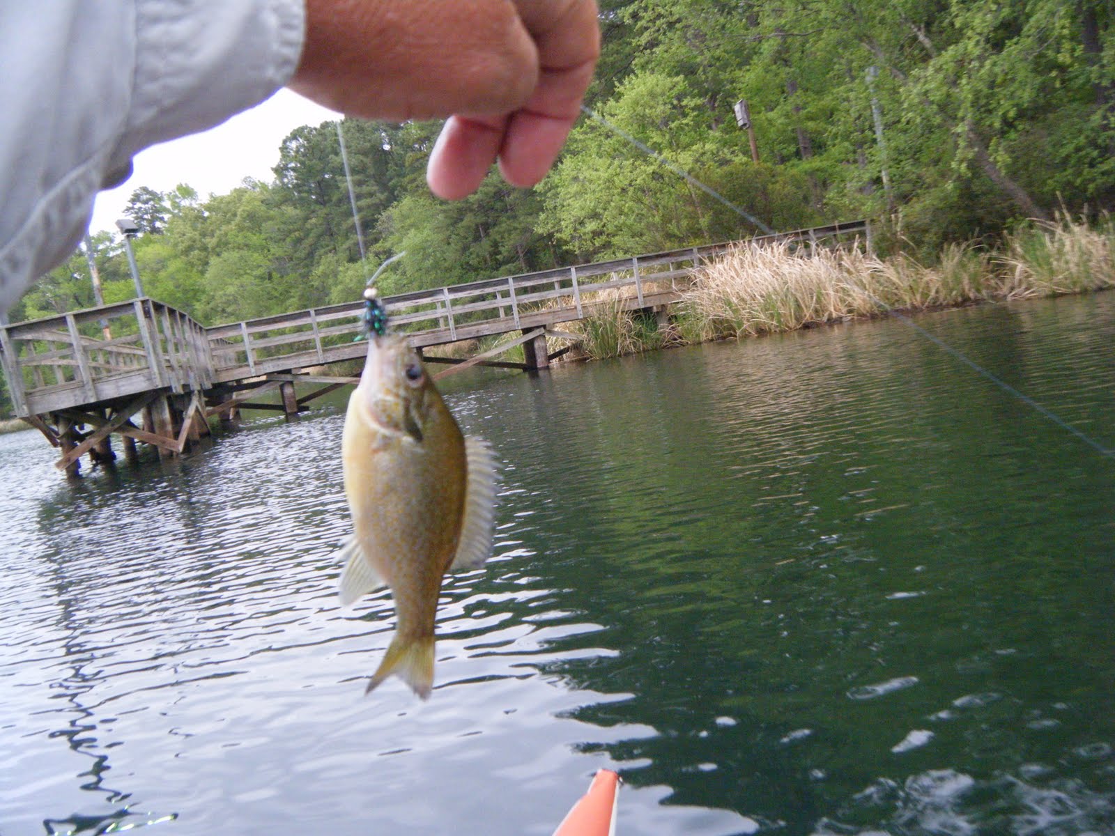 A kayak fishing discipleship!: Tyler State Park Presidents Retreat