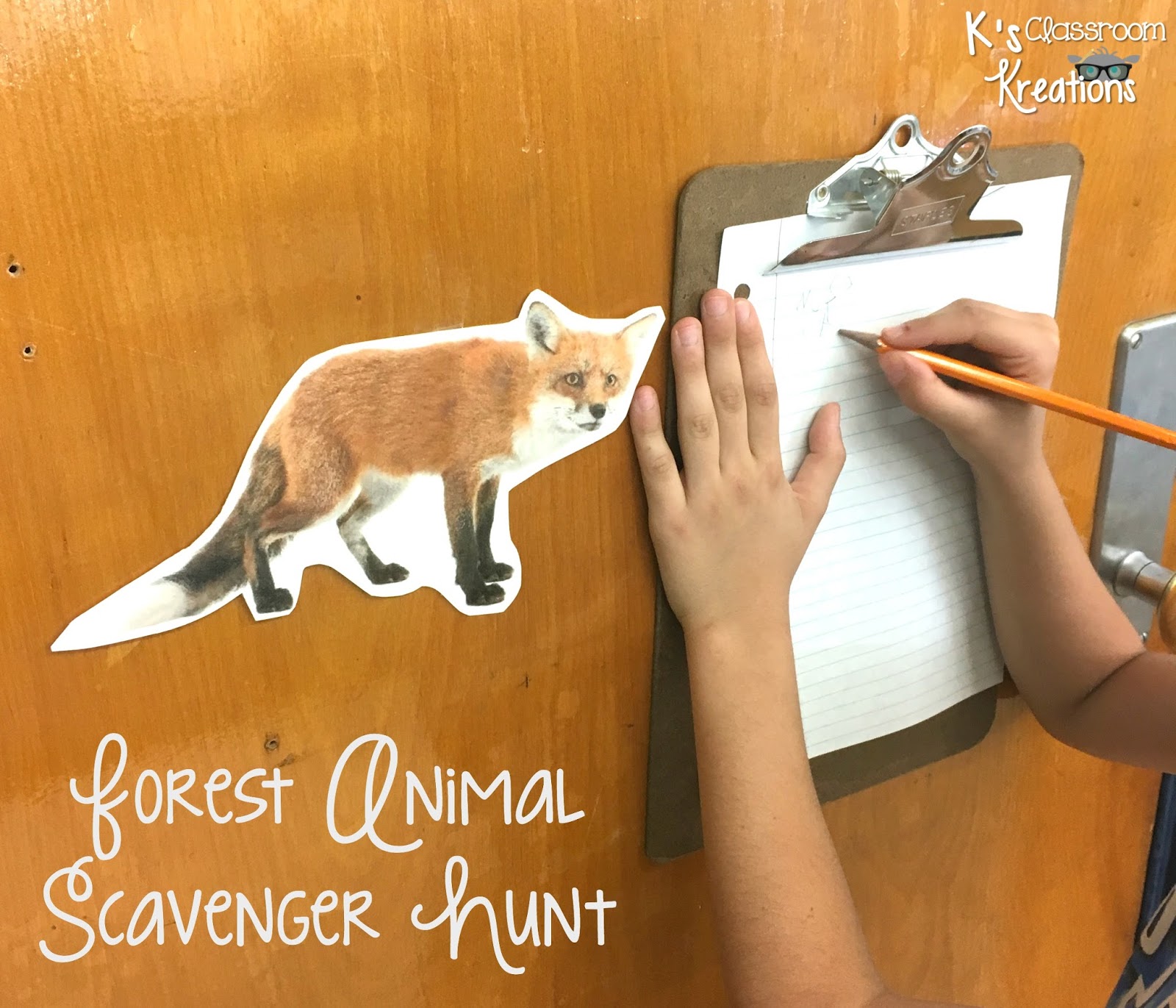 Camping in the Classroom | K's Classroom Kreations