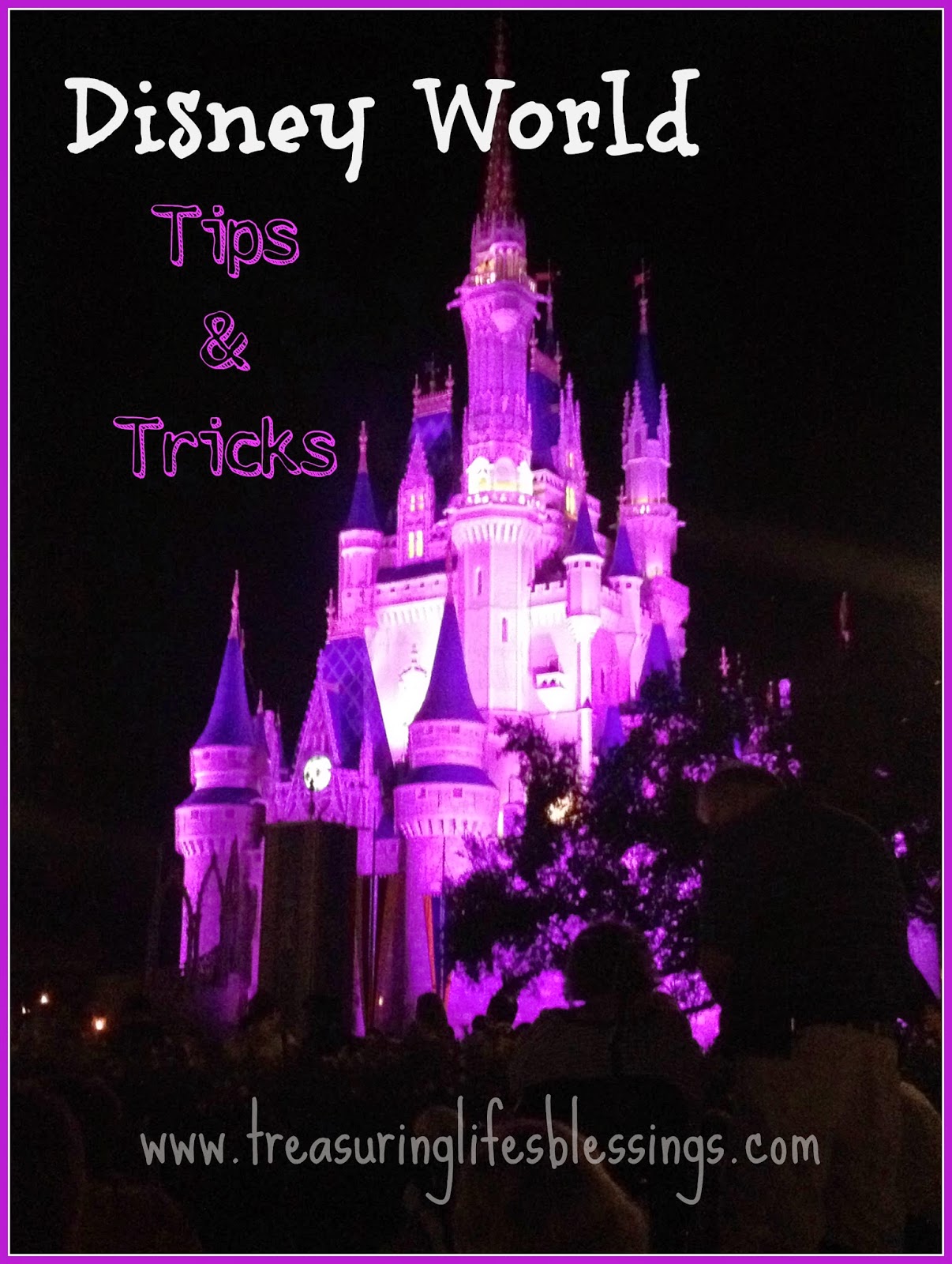 "D" is for Disney World: Tips and Tricks - Treasuring Life's Blessings