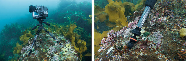 Underwater Tripod System