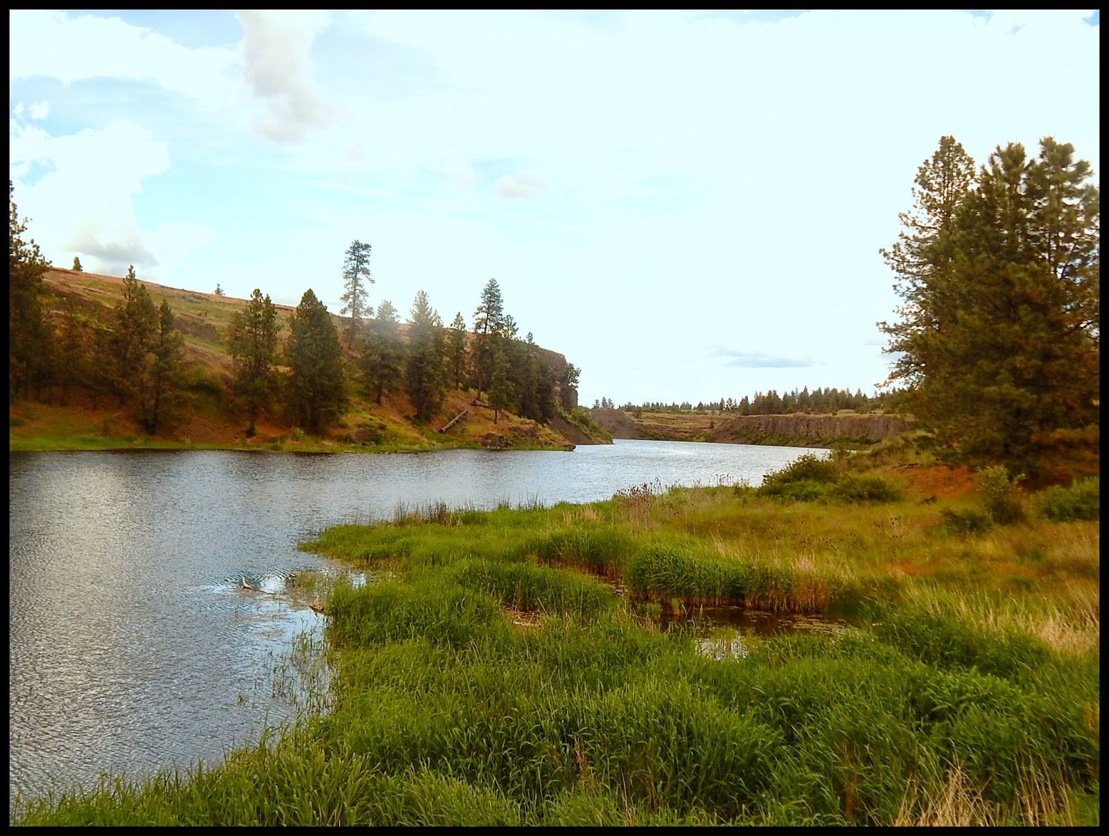 The Back Porch View: Hog Lake in the FIsh Trap BLM, WA