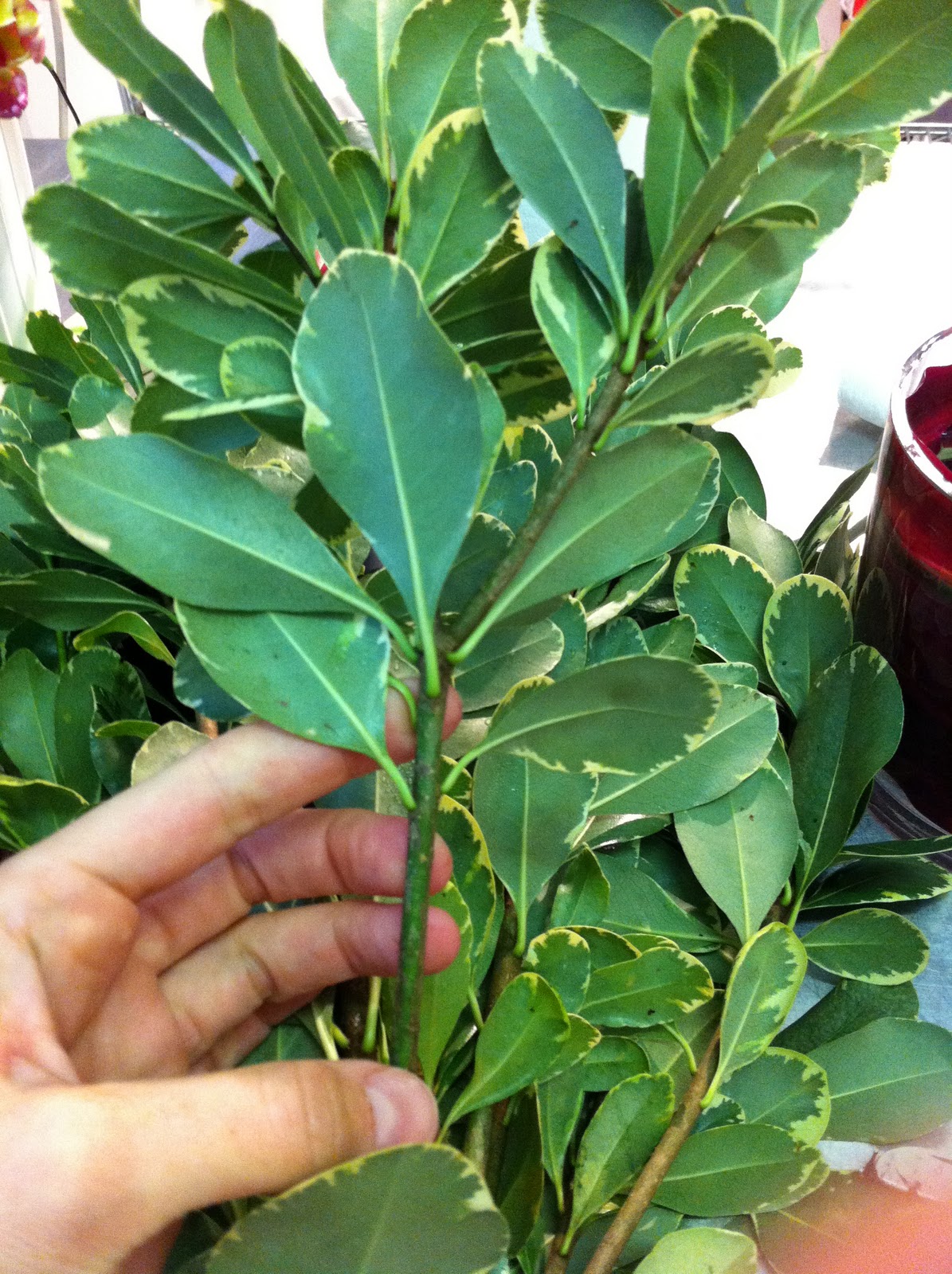 blade new york: How-to Tuesday