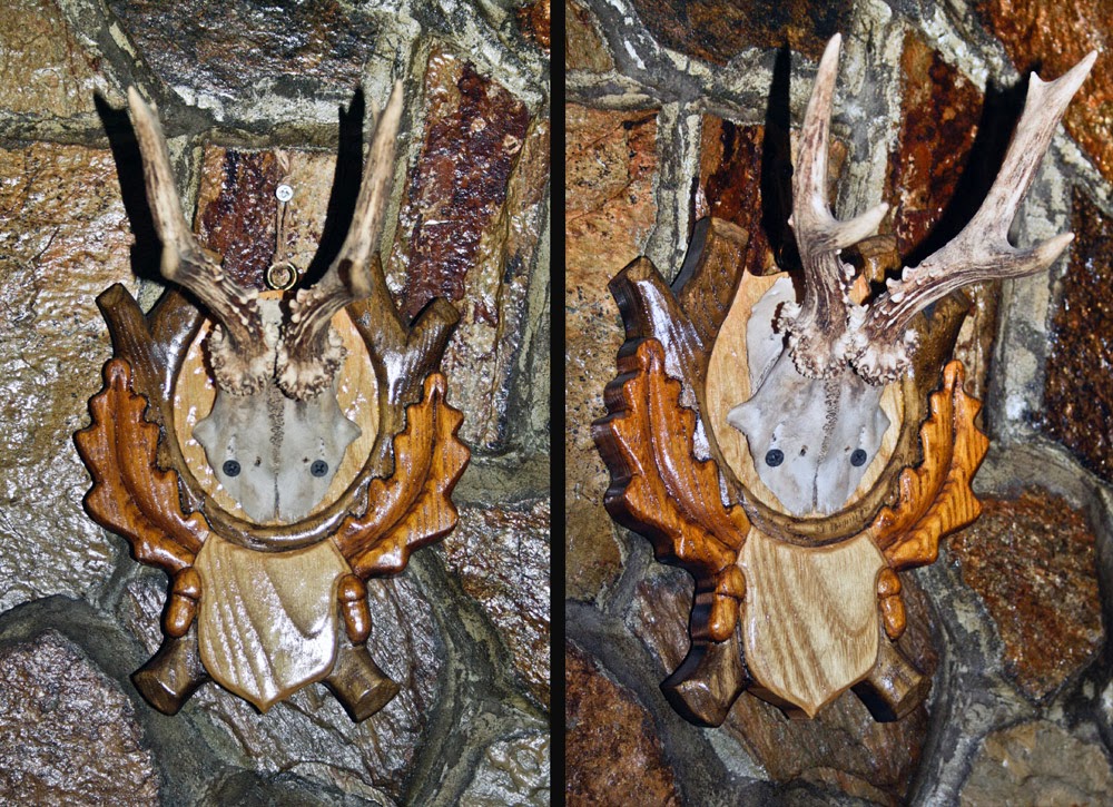 panoplii de vanatoare: panoplii caprior