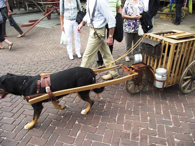 Military Living in The Netherlands: Oude Ambachten Einighausen