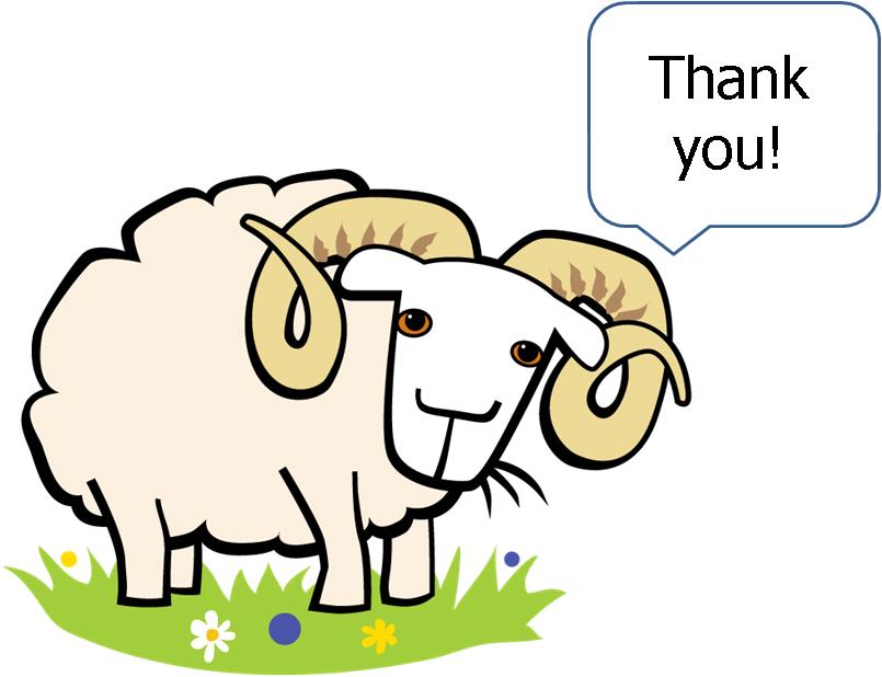 Brown's Folly Sheepwatch: Thank you and goodbye from the sheep!