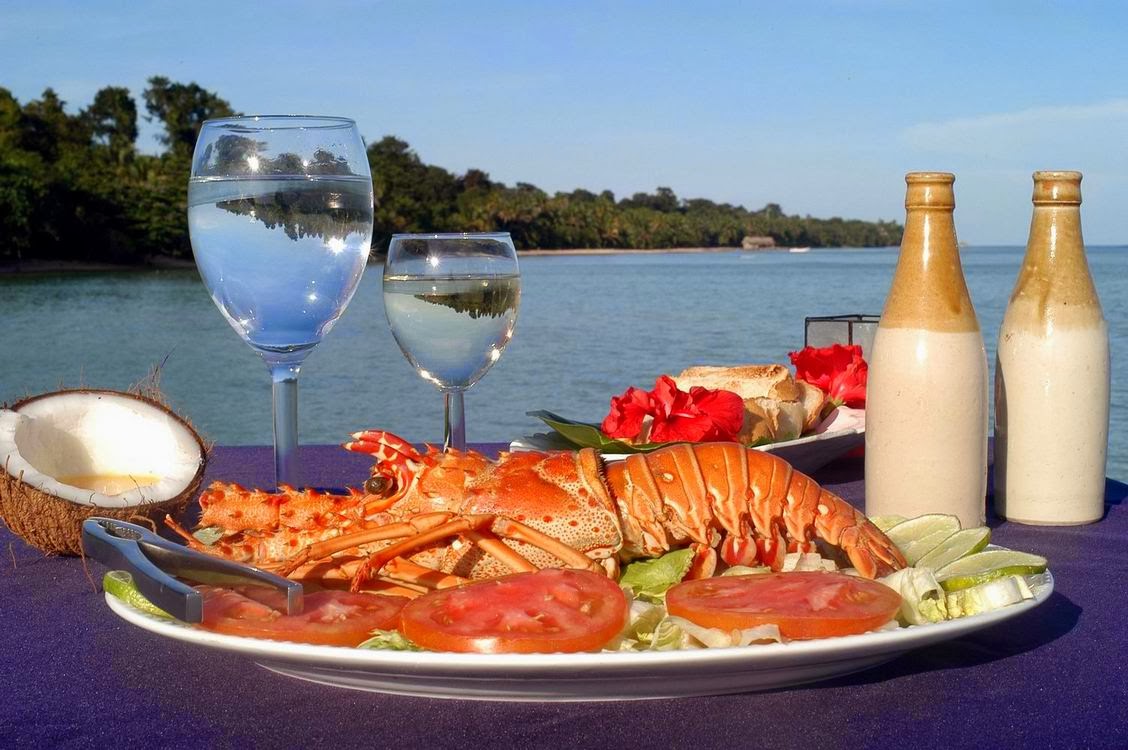 Como puedo cocinar una langosta viva | comopuedo.tv