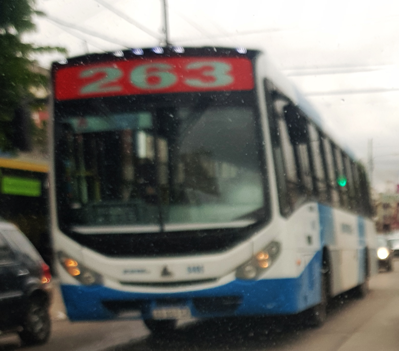 Fotos de Omnibus: LÍNEA 263