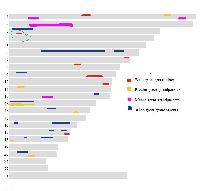 Your Genetic Genealogist: Identifying DNA from Great Grandparents Using ...