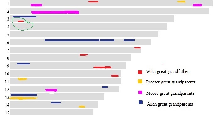 Your Genetic Genealogist: Identifying DNA from Great Grandparents Using ...