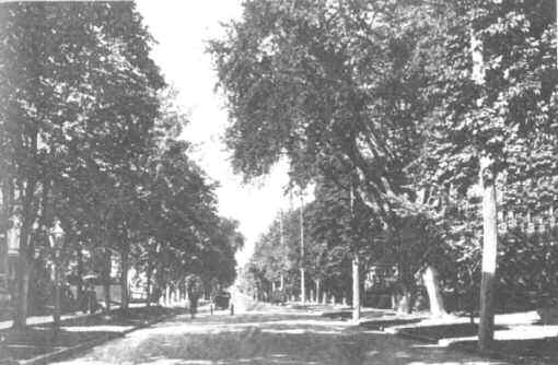 History of Jarvis Collegiate: History of Jarvis Collegiate in Pictures ...