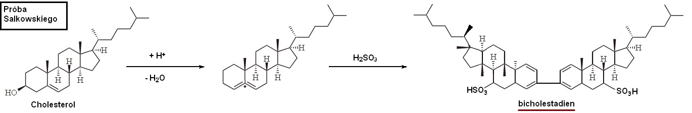 Nowa Alchemia: czerwca 2012