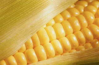 And I Helped!: Corn Chowder