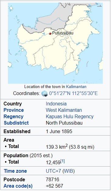 Membangun Smart City untuk Umat Manusia: Putussibau Digital Society ...