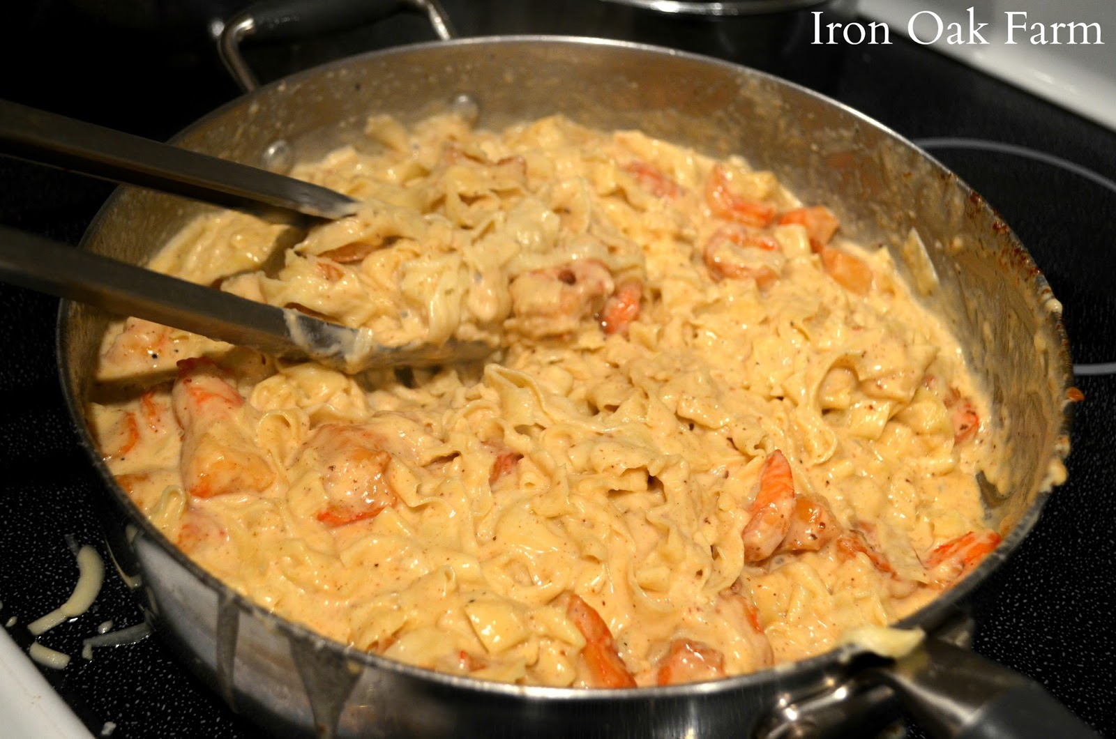 Iron Oak Farm: 80's Dance Music and Mixed Seafood Alfredo with Homemade ...