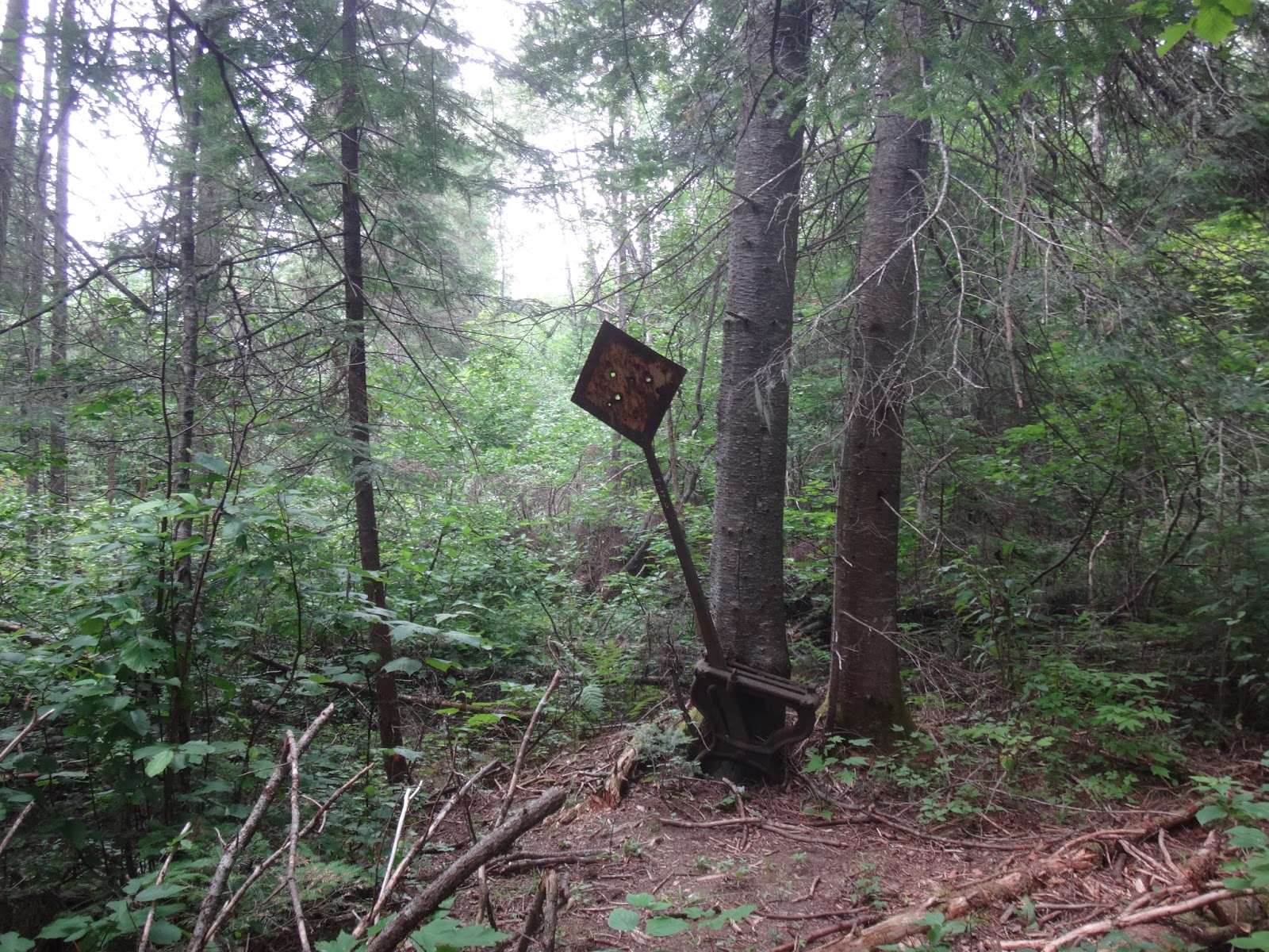 double d mountain runner: Allagash Wilderness - Abandoned trains