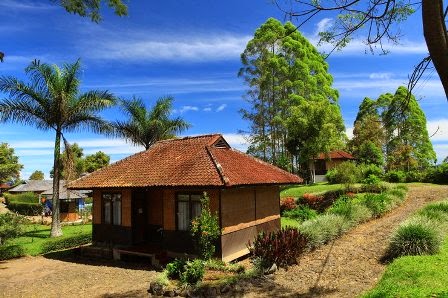 Bungalow & Pondokan Gunung Mas ~ Berwisata Di Agrowisata N8