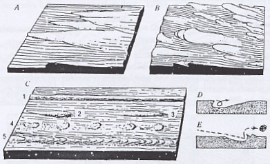 Suara Geologi: Struktur Batuan Sedimen