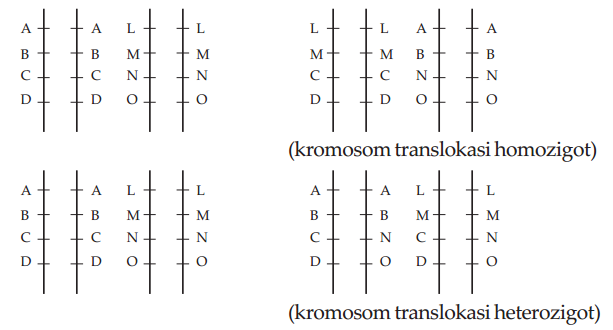 Pengertian Mutasi dan Macam-macam Mutasi - SERBA SERBI