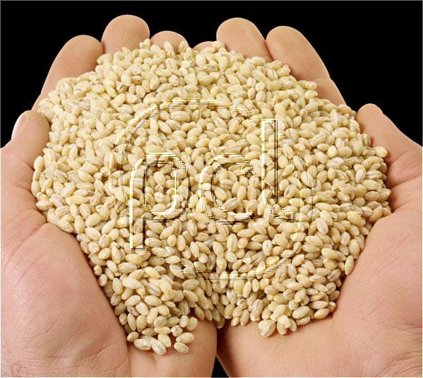 What is Fitrah (Fitrana) - How to Pay Fitrana in Islam | Life of Muslim