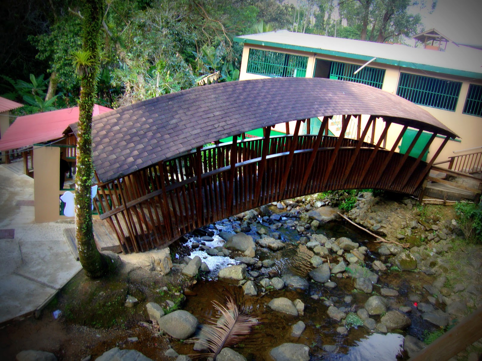 Puerto Rico: Guavate, Puerto Rico