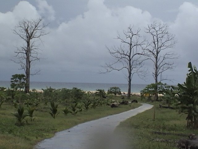 Visit to Andaman & Nicobar Islands: My days at Nicobar: Memory ...