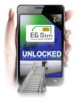Start up Guide: [EG Sim Card] How to use a EG sim card in your own phone?